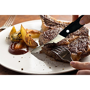 Miracle Blade World Class Quality 4'' Steak Knife Set, 9 Piece: 8 Steak Knives with a Mini Wood Block