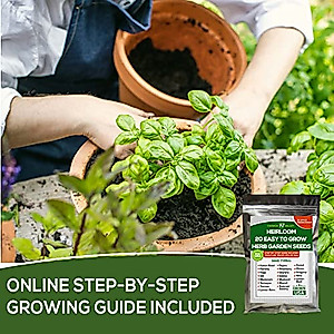 20 Most Needed Spice Seeds for Home Gardening - Kitchen & Culinary Herb Plant Seeds for Indoor, Outdoor, and Hydroponic Growing, Including Basil, Parsley, Rosemary, Mint & More