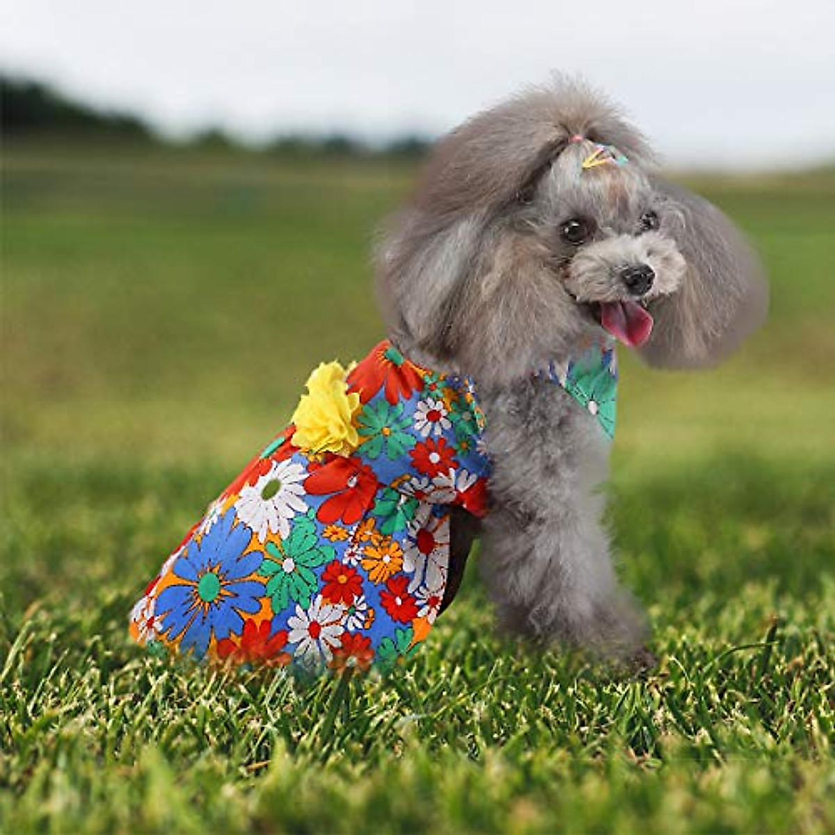 Dog Dresses for Small Dogs - Colorful Flower Print Small Dog Dress Puppy Dress Dog Apparel Summer Dog Cloth for Small Dog Girls (M(7.5-10.5lbs))
