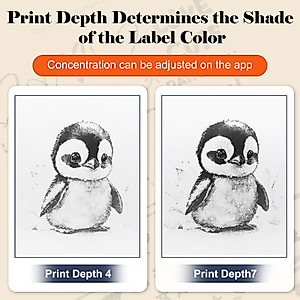 Thermal Mini Printer, X100 Inkless Sticker Maker with Thermal Papers & Sticker Papers, Bluetooth Portable Pocket Phone Printer for Notes, Receipts, Pictures, DIY, Journal, Compatible with iOS&Android