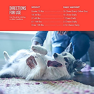 Synovi G3 Soft Chews Glucosamine Joint Supplement for Dogs, 240 count