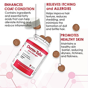Pet Health Solutions Derm Tabs Extra Strength for Dogs - Natural Oil, Vitamins, Minerals, and Antioxidants - Support Healthy Skin and Reduce Shedding -60 Chewable Tablets