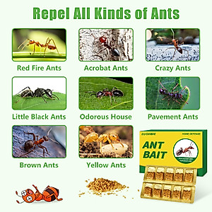 LUOJIBIE Ant Killer Bait for Household Use, Ant Traps, Strongly and Effectively Ant Control for Indoor&Outdoor-10 Count