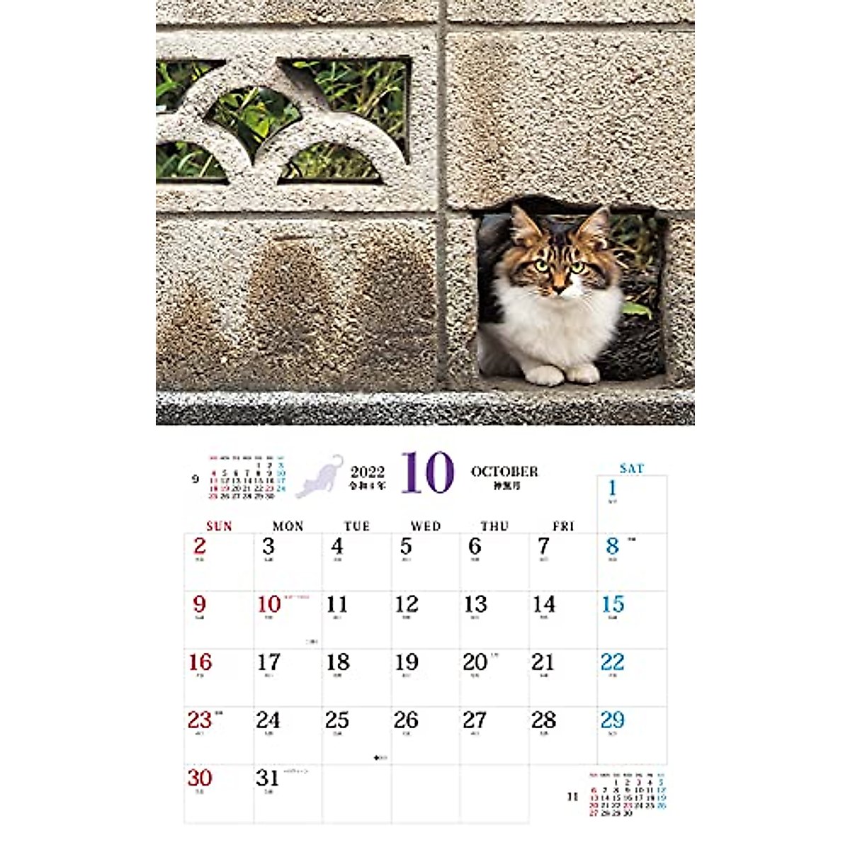 そとねこ (インプレスカレンダー2022)