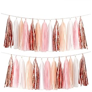 We Moment Tissue Paper Tassels Party Tassel Garland Banner for Party Decorations, DIY Kits,Pink,White,Peach,Rose glod,40 PCS