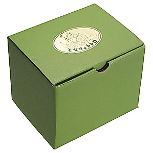 Noritake TT97855/4924-7 My Neighbor Totoro Mug, 12.8 fl oz (375 cc), Microwave Safe, 1 Piece, Bone China