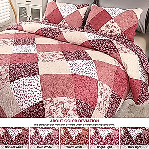 Qucover Quilt Queen Size, 3 Piece Multicolour Patchwork Print Red Pink Beige Floral Reversible Quilts Set, Soft Microfiber Lightweight Quilt Bedspread Bedding Set for All Seasons