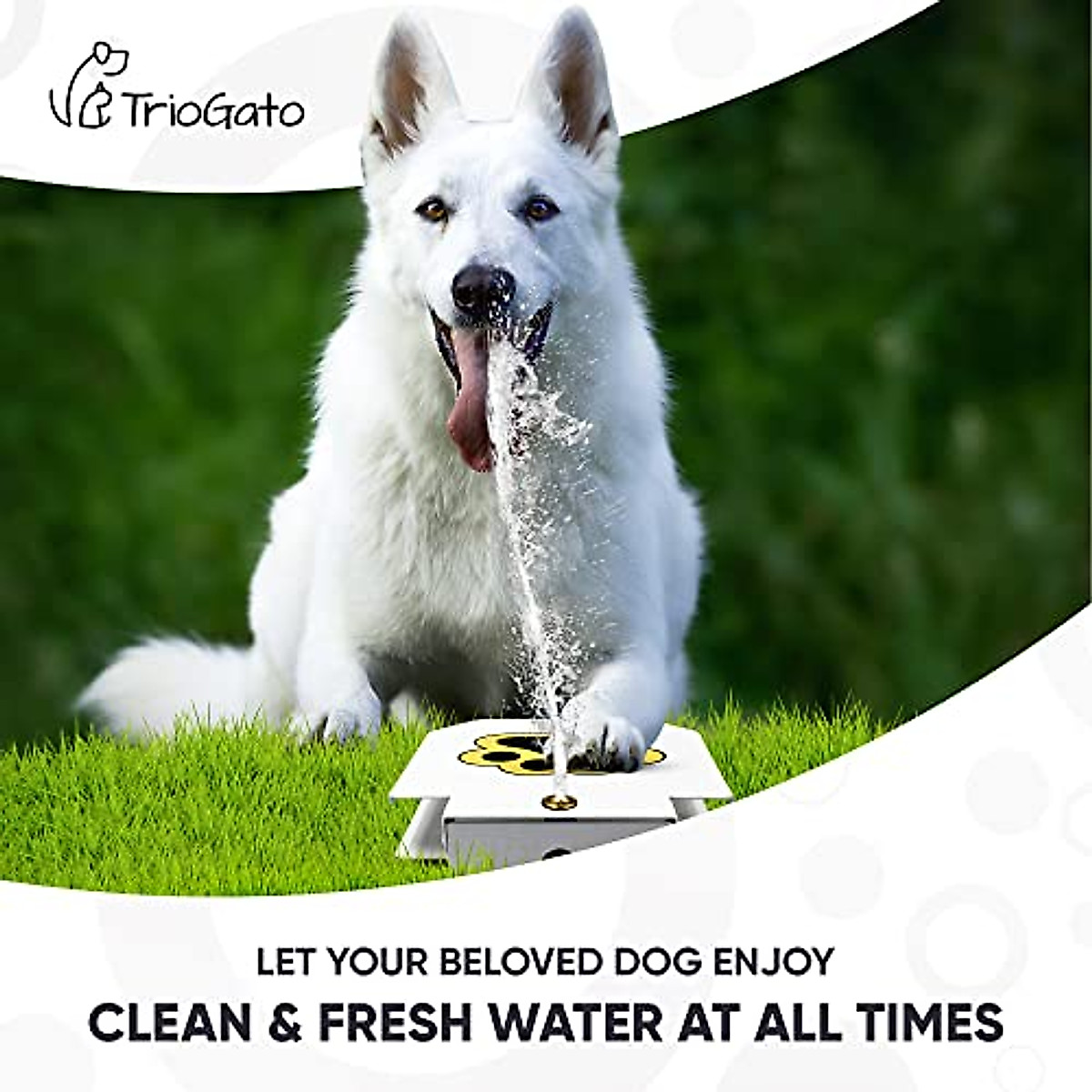 Dog Outdoor Dog Drinking Water Fountain Step On, Easy Paw Activated Drinking Pet Dispenser, Provides Fresh Water, Sturdy, Easy to Use by Trio Gato