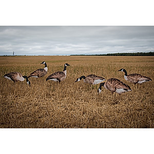Real-Geese 1 Doz Vivid Series Silhouette Decoys