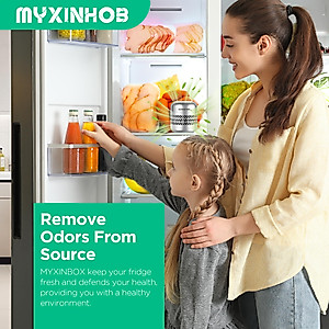 Long-lasting Refrigerator Deodorizer For Odor Remove: Fridge Deodorizer For Smell Remove (Light Grey)