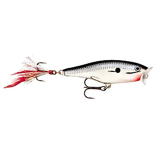 Rapala Skitter Pop 05 Fishing lure, 2-Inch, Chrome