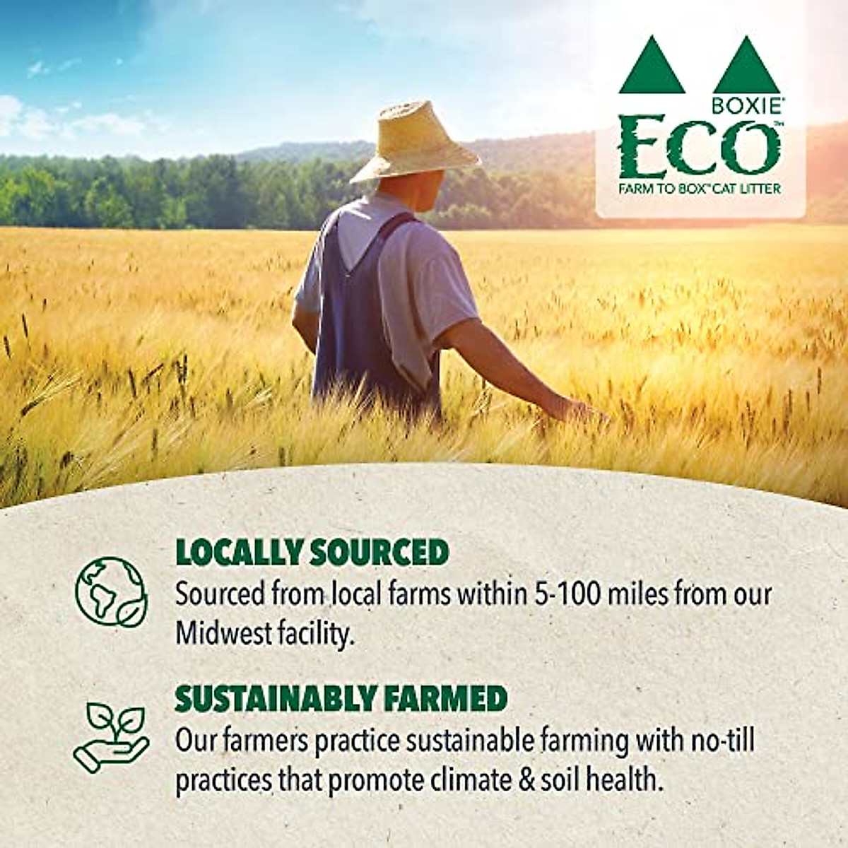 Boxiecat Eco Farm to Box Ultra Sustainable Cat Litter -Scent Free- 16.5 lb- Lightweight, Plant-based Premium Clumping Formula- All Natural Odor Control, Stays Ultra Clean