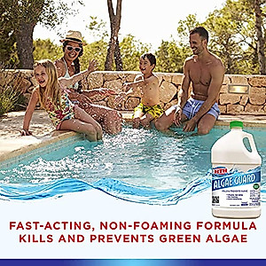 HTH 67045 Algae Guard 10 for Swimming Pools, 1 gal