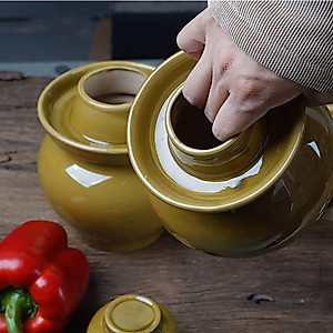 QPZK Thickened Ceramics Fermenting Jar, Porcelain Pickling Jar,Crock Jar Stoneware Pot, Kimchi Pot with Lid Food Storage, Water Seal Fermenting Pickling Kimchi Crock 1KG