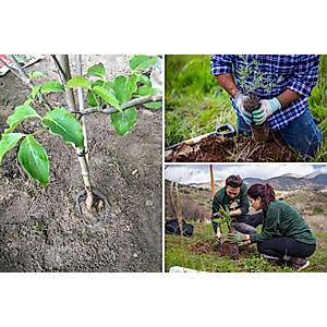 VOLE KING Plant Baskets - Gopher and Vole Baskets, 15 Gallon, Pack of 1 - Protect Plants, Trees, Flowers and Bulbs from Voles, Gophers and Moles - A One Time Solution, No Repellent Needed