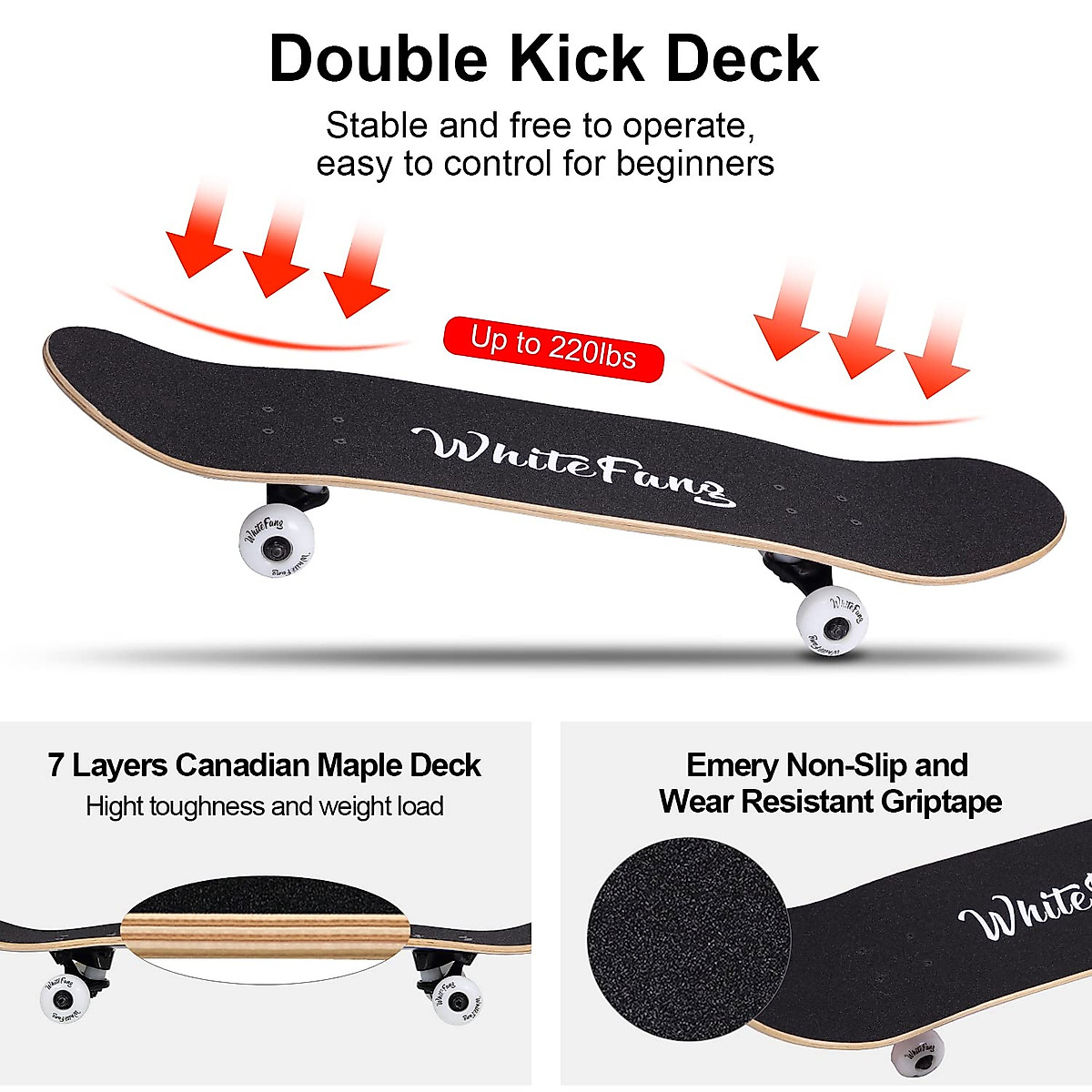 WhiteFang Skateboards for Beginners, Complete Skateboard 31 x 7.88, 7 Layer Canadian Maple Double Kick Concave Standard and Tricks Skateboards for Kids and Beginners (Skate Lane)