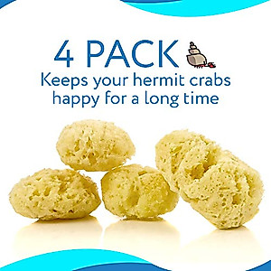 Evergreen Pet Supplies 4-Pack of Natural Hermit Crab Sea Sponges - All Natural Sponge for Crabs - Assists Safer Drinking, Provides Nutrients, Balances Tank Humidity