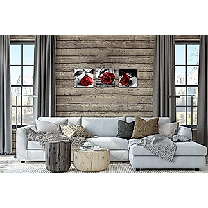 NAN Wind Canvas Print 3 Pcs Black and White Red Rose Canvas Art Painting Abstract Wall Art Decorations Flower Picture on Canvas for Home Decor Stretched and Framed