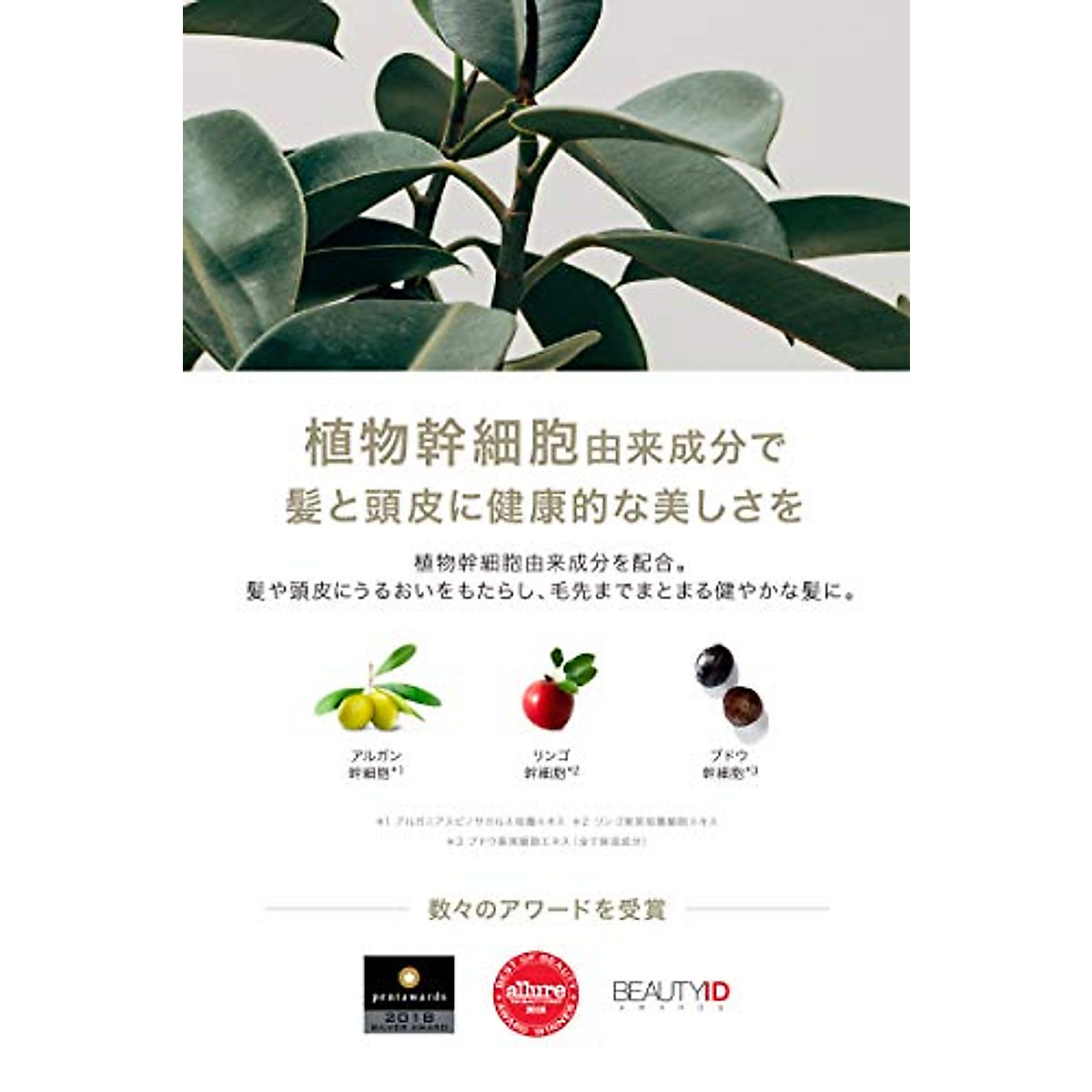 NATURELAB. TOKYO Perfect Smooth Conditioner: Eco-Friendly Refill Pouch: Lightweight Moisturizing Conditioner for Smoother Frizz-Free Hair I 22.9 FL OZ / 680ml