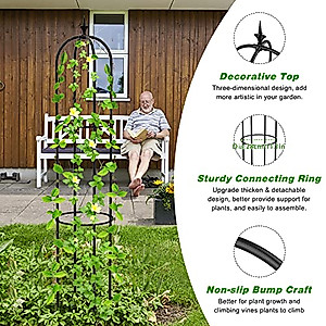 Garden Obelisk Trellis for Climbing Plants 4 Feet Tall Plant Support Cage, Tower Obelisk Plant Support Indoor Potted Plant, Plant Trellis for Climbing Vines, Tomato, Flower, Vegetable, Rose (1 Pack)