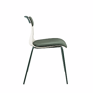 HESIEU Dining Chair Set of 2, Leisure Chair with Color-Blocking Cushions, Tilted 15°, Iron Legs with Silent Cushions, Double Back Support, Suitable for Dining Rooms, bedrooms and Living Rooms (Green)