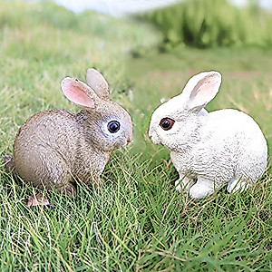 phnam garden, Rabbit Courtyard Decoration Resin Statue Yard and Garden, Indoor and Outdoor Decoration Sculpture,Fairy Garden Resin Statue