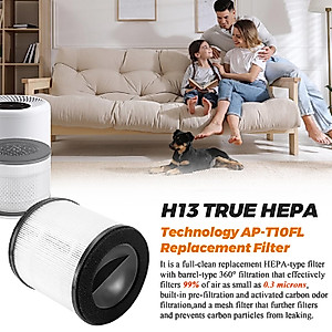 AP-T10FL AP-T10 Air Purifier Filter Replacement for Homedics Air Purifier by Blutoget - Fit for Homedics Total Clean Air Purifier AP-T10-BK AP-T10-WT-360 Degree H13 True HEPA with Activat Carbn 2Pack
