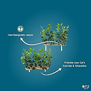 On2Pets Cat Shelves Wall-Mounted Cat Trees Cat Furniture for Climbing, Playing and Relaxing, Set of 2, Indoor Cat Shelf Made in USA… (Zen Green, Curved)