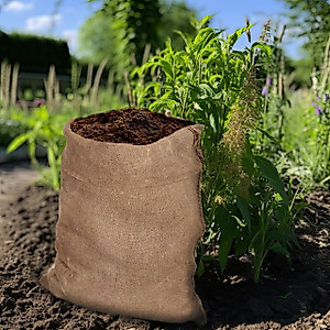 COTTON CRAFT Burlap Potato Sack Bag - Set of 4 Jute Potato Sack Race Bags - Large 24x39 Adult & Kids Sturdy Easter Outdoor Games Birthday Block Party Toy Storage