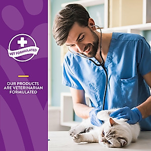 NaturVet VitaPet Senior Daily Vitamins for Cats Plus Glucosamine, Specifically Formulated to Provide Essential Minerals, 90 g, 60 Count