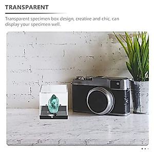 Cabilock Clear Specimen Display Cases 12pcs Plastic Mineral Specimen Storage Cases Square Sample Displaying Boxes Jewelry Organizer Tray