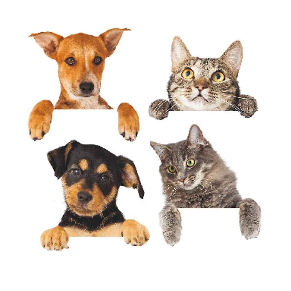 Removable Switch Sticker, 8 Cats and Dogs Lovely Wall Sticker, Light Switch Decor Decals, Family DIY Decor Art Stickers Home Decor Wall Art for Kids Bedroom Office Decoration(4 Styles)