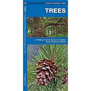 Trees: A Folding Pocket Guide to Familiar North American Plants (Wildlife and Nature Identification)