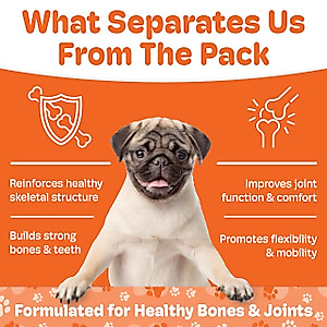 Boneo Canine Maintenance Formula - Lactoferrin-Based Bone and Joint Supplement for Dogs - 90 Ct Dual Pack Chewable Tablets, Liver and Sausage Flavor