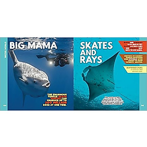 The Fascinating Animal Book for Kids: 500 Wild Facts! (Fascinating Facts)