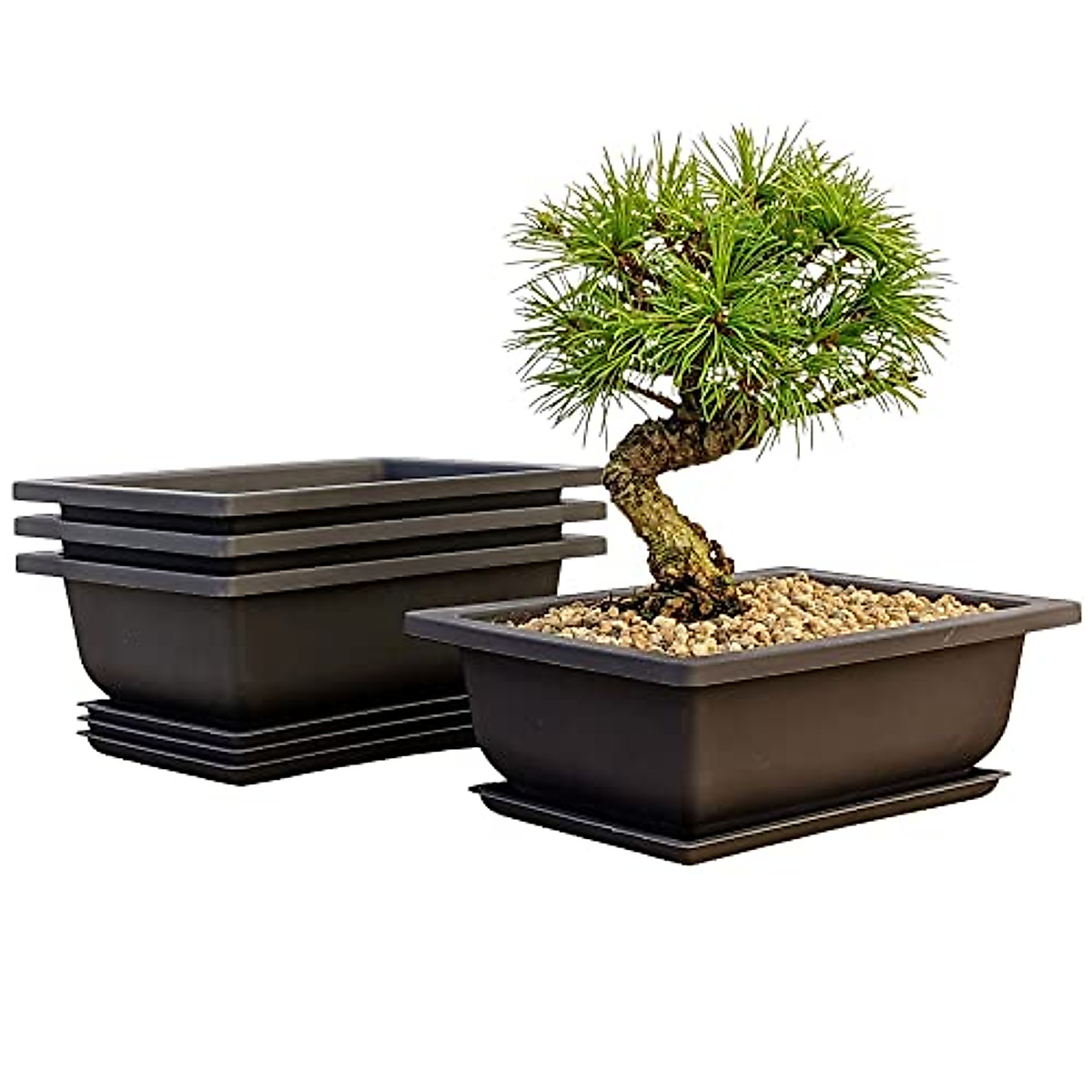 Bonsai Outlet Training Pots with Humidity Trays - Built in Mesh, Six Inch Large Planters + Made from Durable Shatter Proof Poly-Resin, Set of 3 Pot Set…