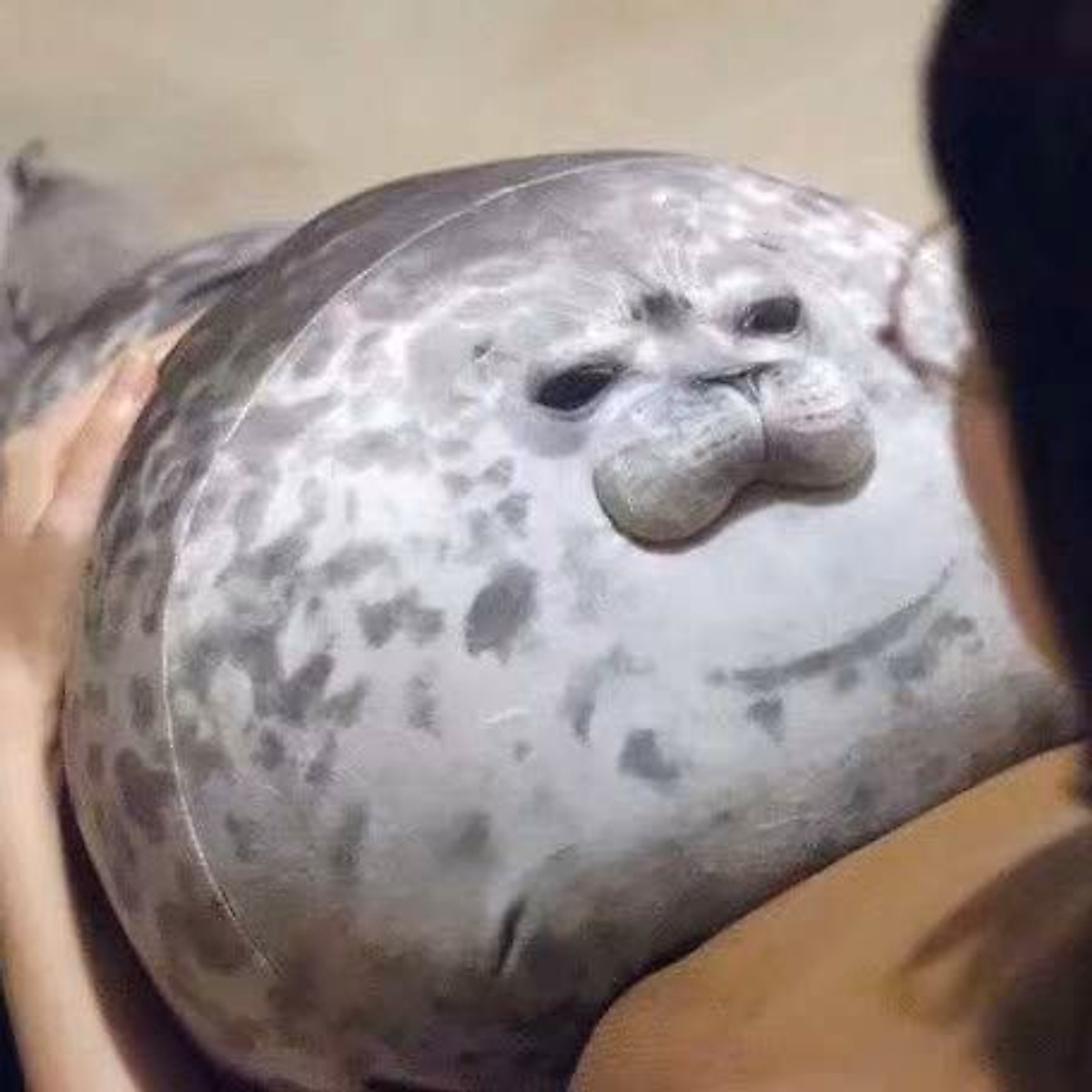 ARELUX 17.7in Soft Seal Plushie Pillow: Chubby Blob Seal Hugging Pillow,Cute Stuffed Animal Plush Pillow Toy Kawaii Room Decor for Kids Boys Girls