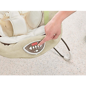 Fisher-Price Snugabunny Deluxe Bouncer