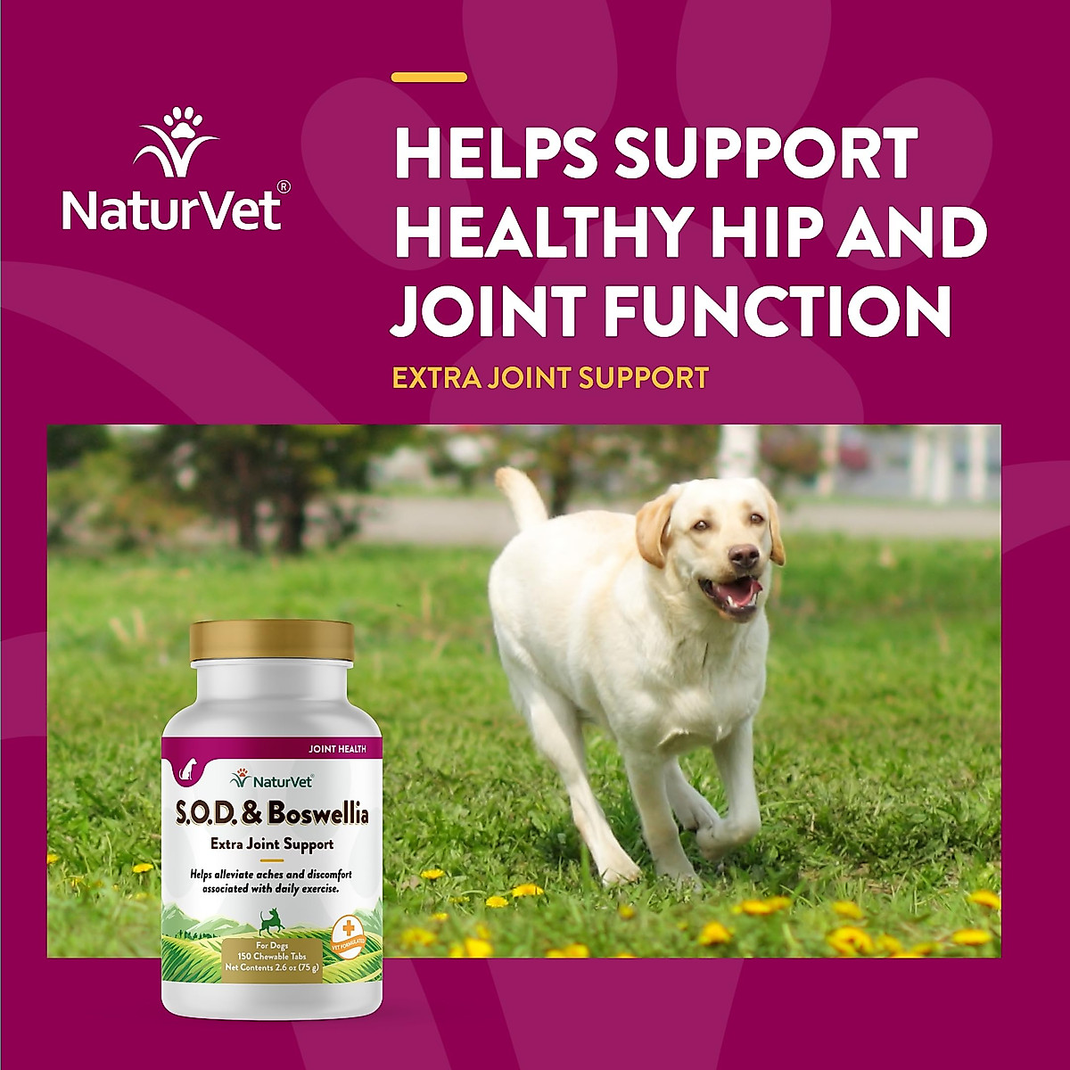 NaturVet S.O.D. & Boswellia Extra Joint Support Dog Supplement – Dog Hip Supplement – Helps Alleviate Aches, Pain – for Dog Flexibility, Healthy Joint Function – 150 Ct. Chewable Tablets
