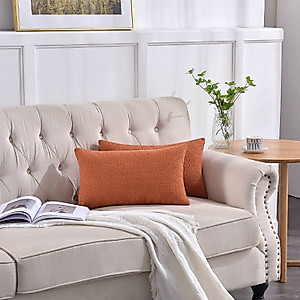 Rythome Set of 2 Cozy Boucle-Like Textured Throw Pillow Covers, Decorative Elegant Lumbar Pillow Cases for Couch Bed and Living Room - 12"x20", Terracotta