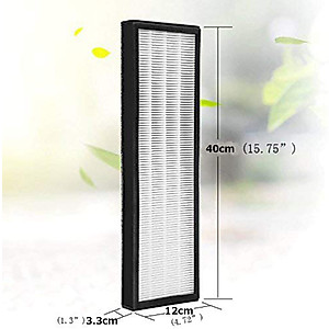 BBT BAMBOOST Filter B Replacement Fit for Germguardian Air Purifier FLT4825 Filter-b Models AC4825 AC4300 AC4800 AC4900,AP2200CA,BXAP148(1pcs HEPA True Filters and 2 Pieces Carbon Filters)