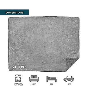 PAVILIA Waterproof Blanket for Couch, Sofa | Waterproof Dog Blanket for Large Dog, Puppy, Cat | Pet Blanket Protector | Plush Soft Warm Fuzzy Sherpa Blanket Bed Throw, Light Grey, 60x80