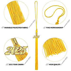 Boao 18 Pieces 2024 Graduation Tassel Academic Hat Tassels with 2024 Year Gold Date Pendants for Graduates Ceremonies Parties(Gold)