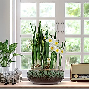 Happyyami Hydroponic Water Planter Pot Ceramic Succulent Bonsai Pot Water Lily Narcissus Planting Bowl Flowerpot Container Garden Decoration (Style b)