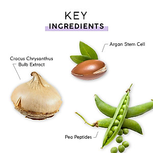 MyCHELLE Dermaceuticals Peptide+ Anti-Wrinkle Serum - Anti-Aging Serum with Peptides & Argan Plant Stem Cells to Help Restore Skin & Help Reduce the Appearance of Fine Lines and Wrinkles