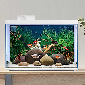 AWERT 30x18 inches Polyester Underwater Grass Plants Aquarium Background Aquatic Plants Stone River Bed and Dead Wood Stone Fish Tank Background