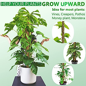 Moss Pole 56 Inch, 4 Pcs Moss Pole Monstera Plant Support, 17.7 Inch Coir Totem Pole Moss Stick for Climbing Plants Indoor Monstera Extension, Train Potted Creepers to Grow Upwards, 65 Feet Twist Tie
