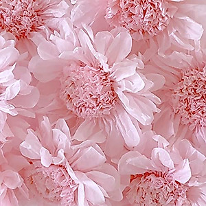 Colors of Rainbow Gift Wrapping Tissue Paper (48 Sheets, 20 Inch x 14.5 Inch) for Gift Baskets, Gift Bags, Packing, Craft, Moving, Baby & Bridal Shower, Wedding, Office Supplies (Blush Light Pink)