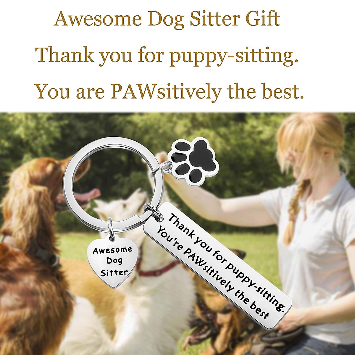 Lywjyb Birdgot Dog Walker Gift Dog Sitter Thank You Gift Dog Sitter Keychain