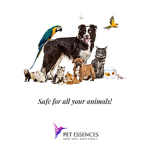 Pet Essences Anxiety and Fear for Dogs, Cats and Horses